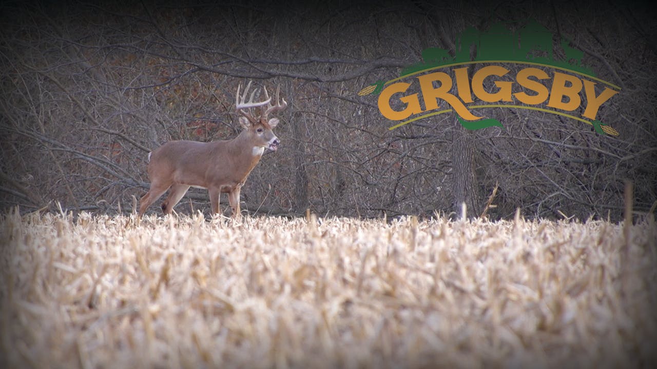 Shotgun Season Continues at The Grigsby | Grigsby - Season 3 - Realtree 365