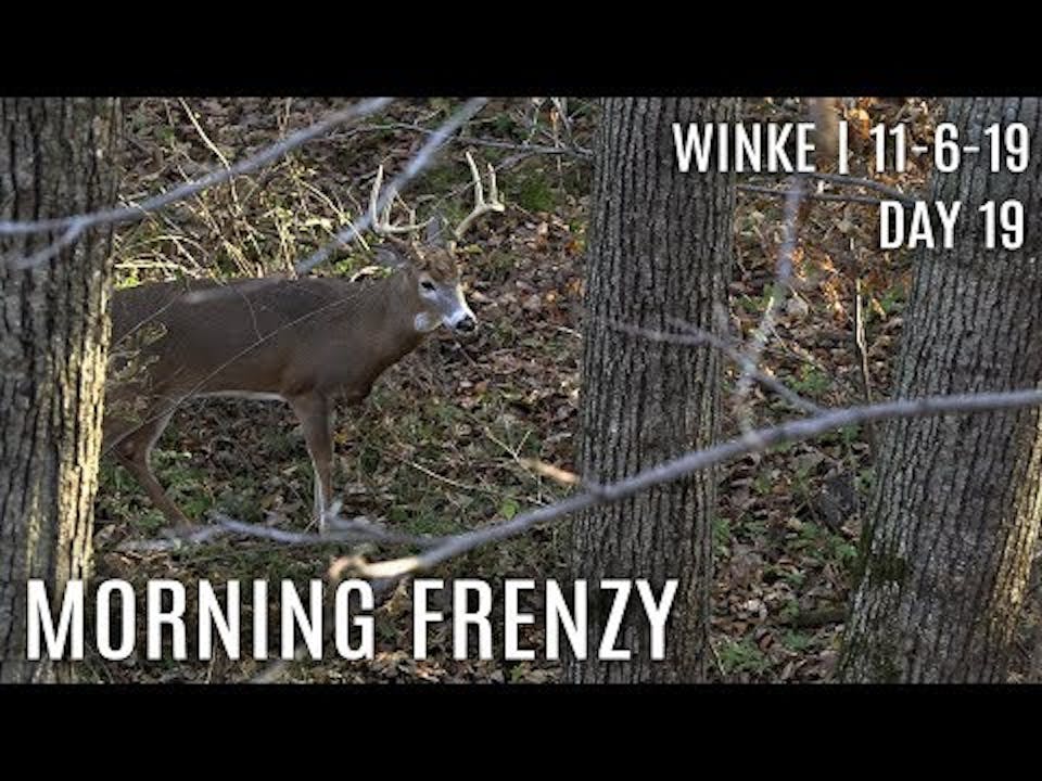 Winke Day 19: Morning Frenzy - 2019 - Realtree 365