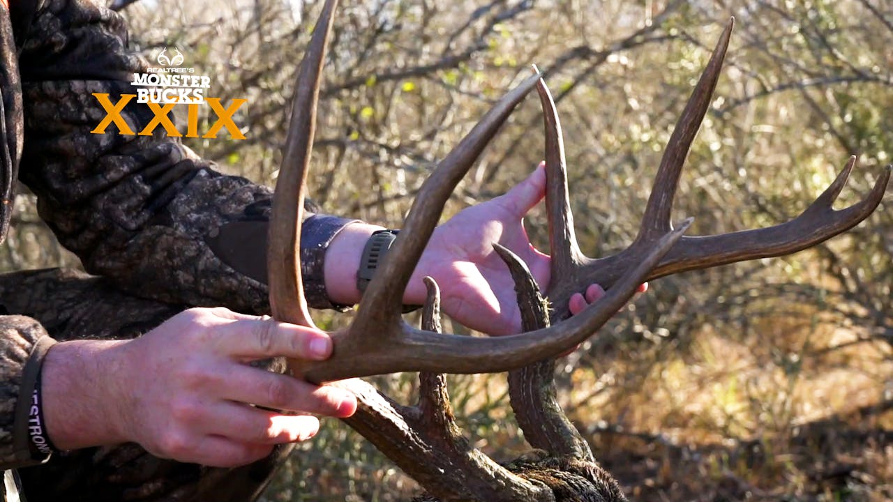 Tyler Jordan's Lone Star State Buck | Monster Bucks 2021 - Monster ...