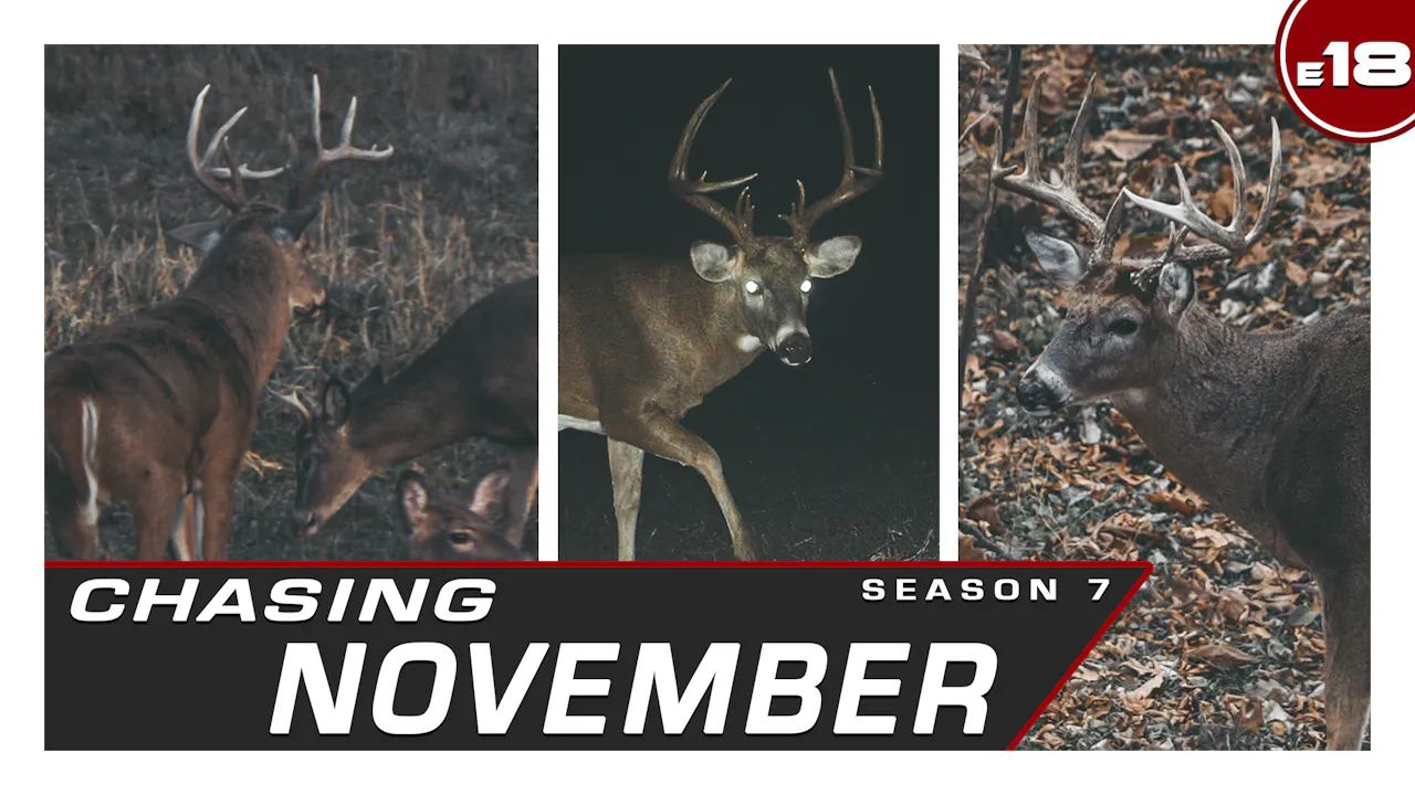 E18: Mature Buck Attacks Young Deer, Racking Up Encounters | CNS7 ...