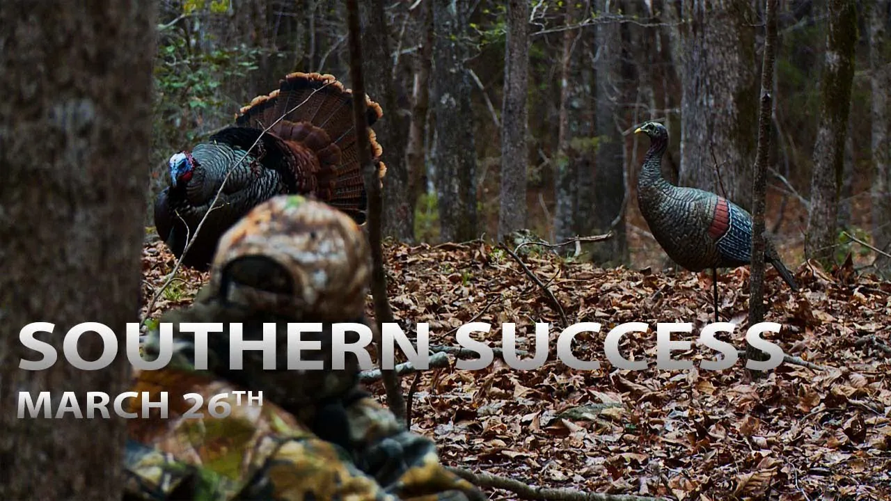 3-26-18: Southern Turkey Hunting Success, Scouting in Iowa | Spring ...