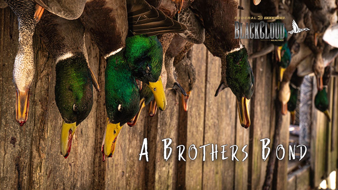 The Ultimate Duck Hunt Sweepstakes | Languille River Waterfowl | Black ...