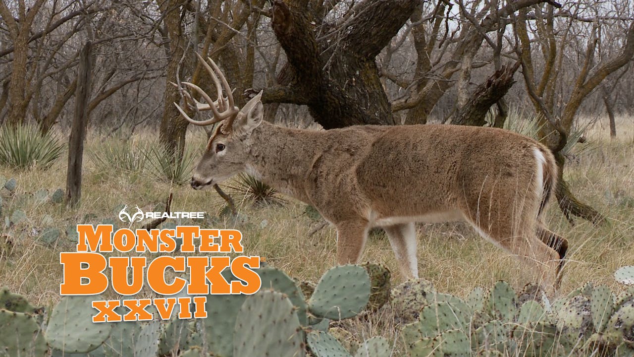 Bill Jordan's Lone Star Monster - Realtree 365