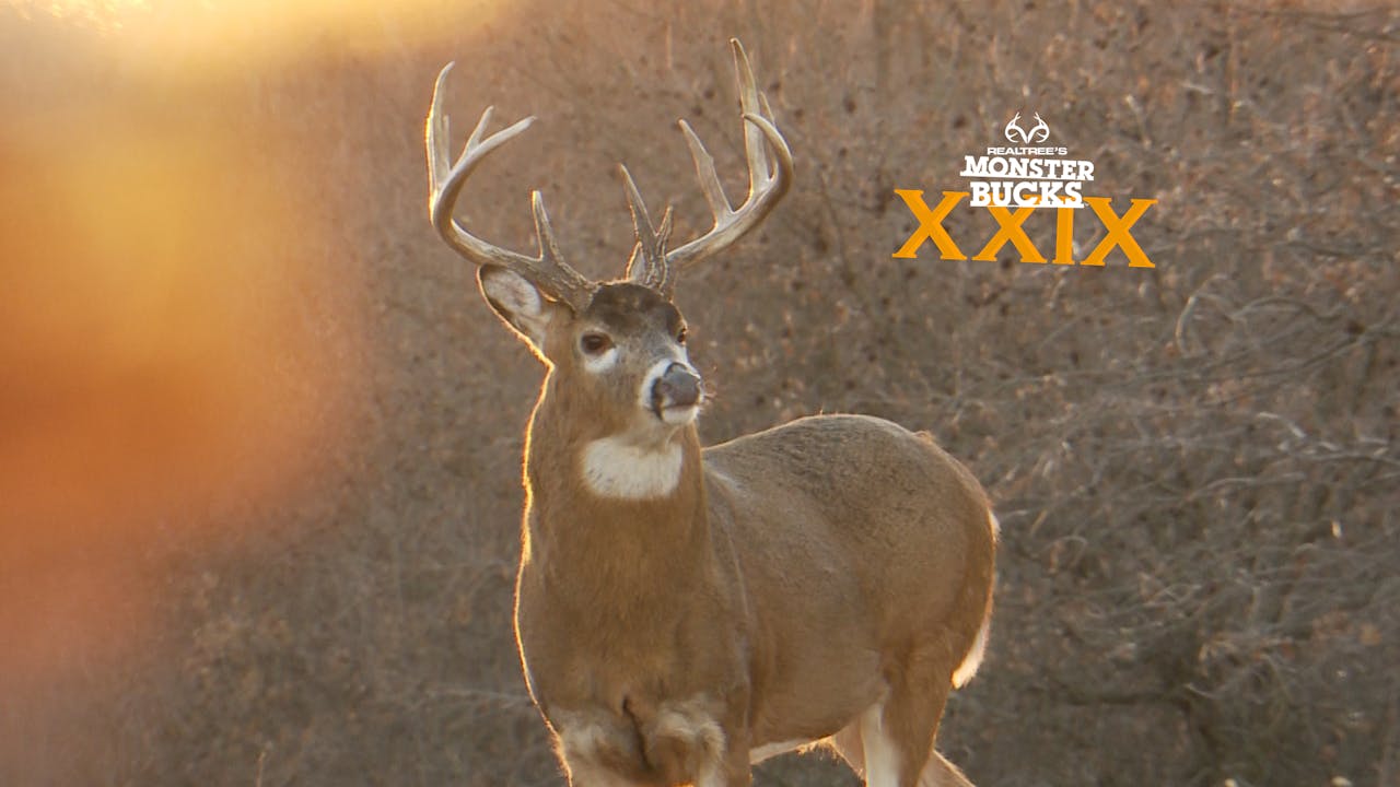Kandi Kisky's Freak Iowa Buck | Monster Bucks 2021 - Monster Bucks XXIX ...