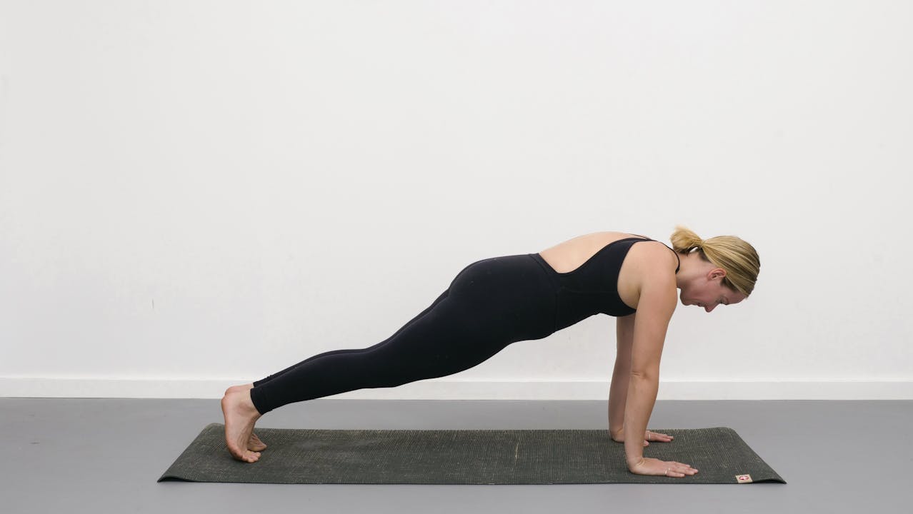 Plank - Yogipedia - Renew Yoga