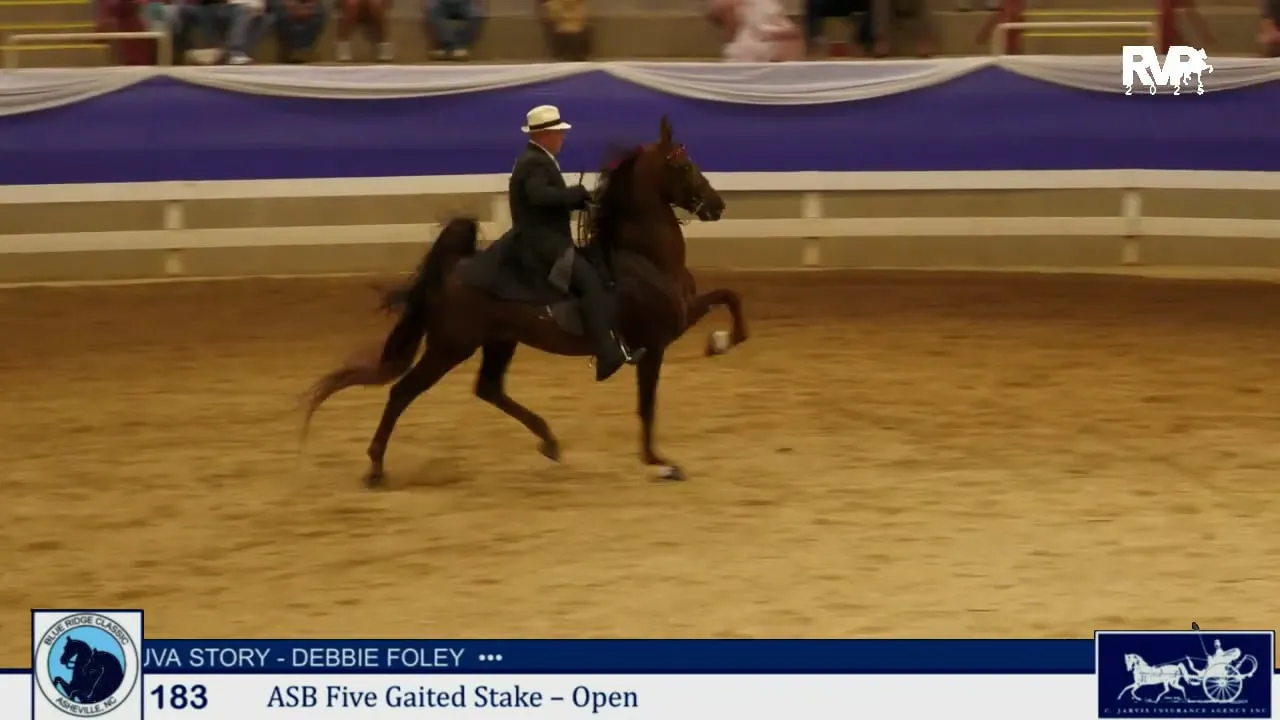 2025 Blue Ridge Classic Horse Show - Friday Evening - Richfield Video ...