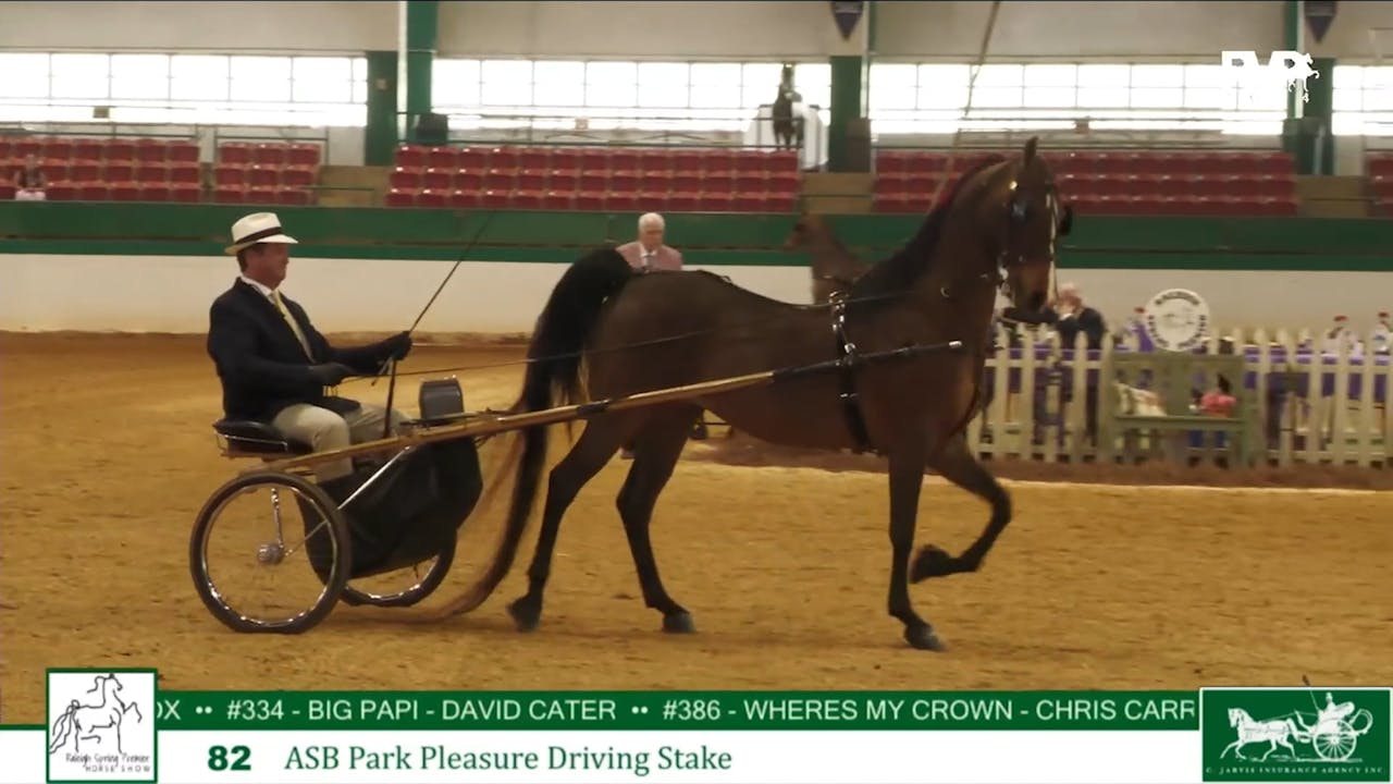 RSP24 - Class 82 - ASB Park Pleasure Driving Stake - Richfield Video ...