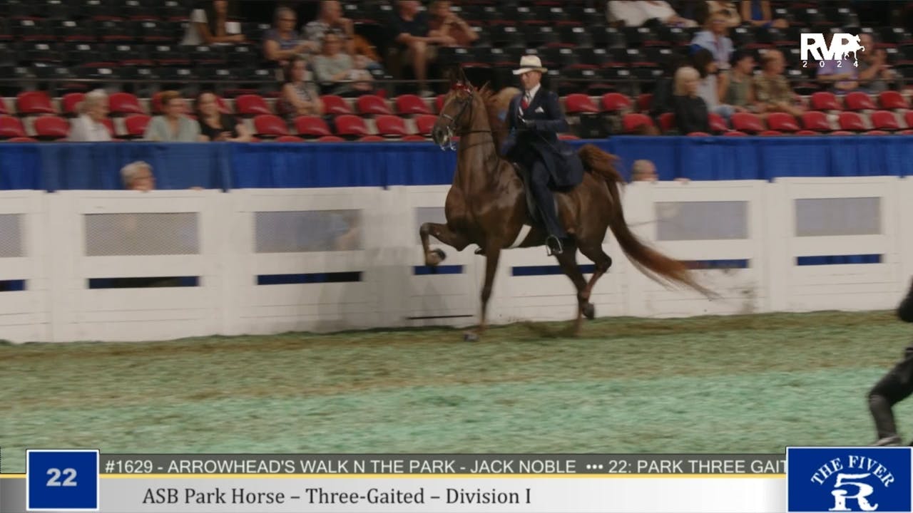 WCHS24 - Class 22 - ASB Park Horse Three Gaited Division I - Richfield ...