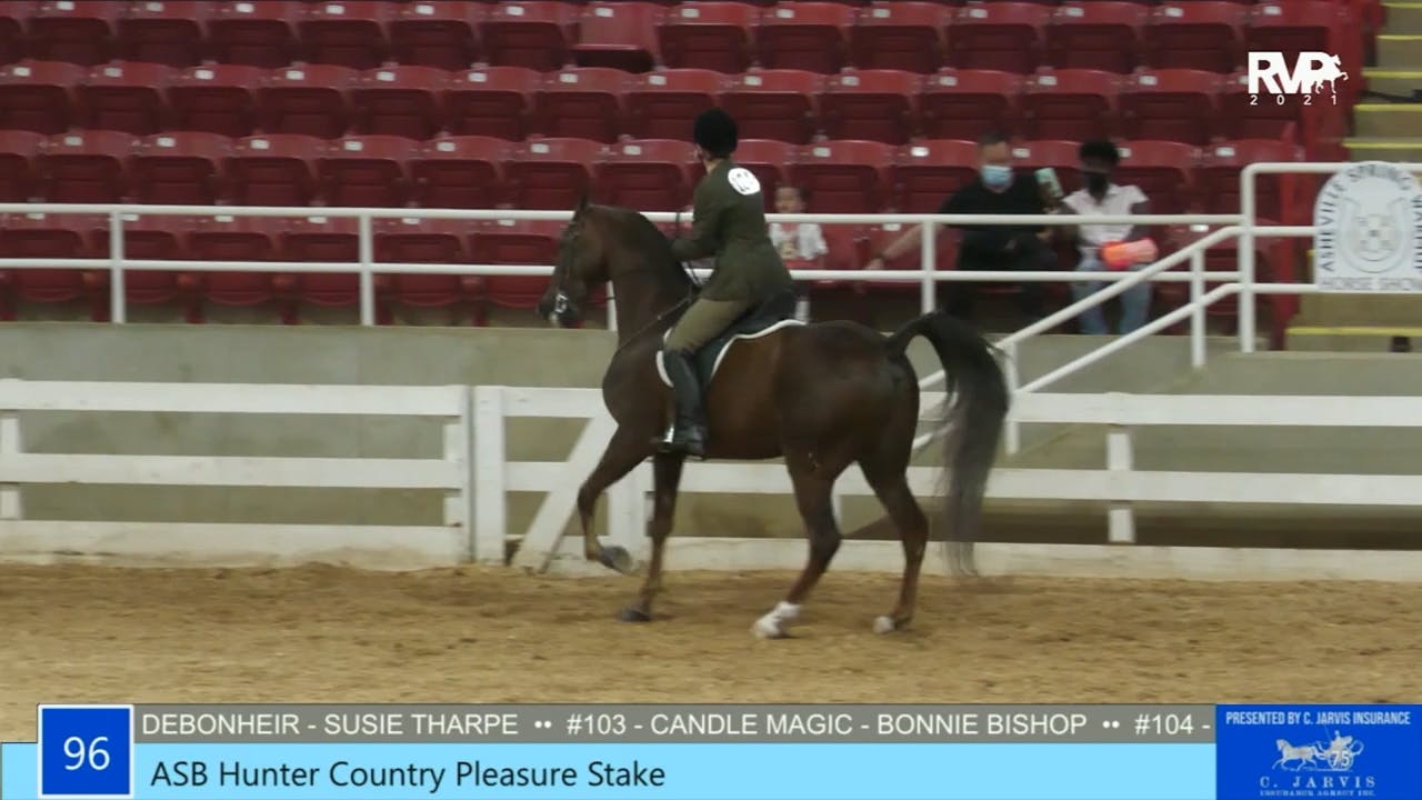 ASW21 - Class 96 - ASB Hunter Country Pleasure Stake - Richfield Video ...