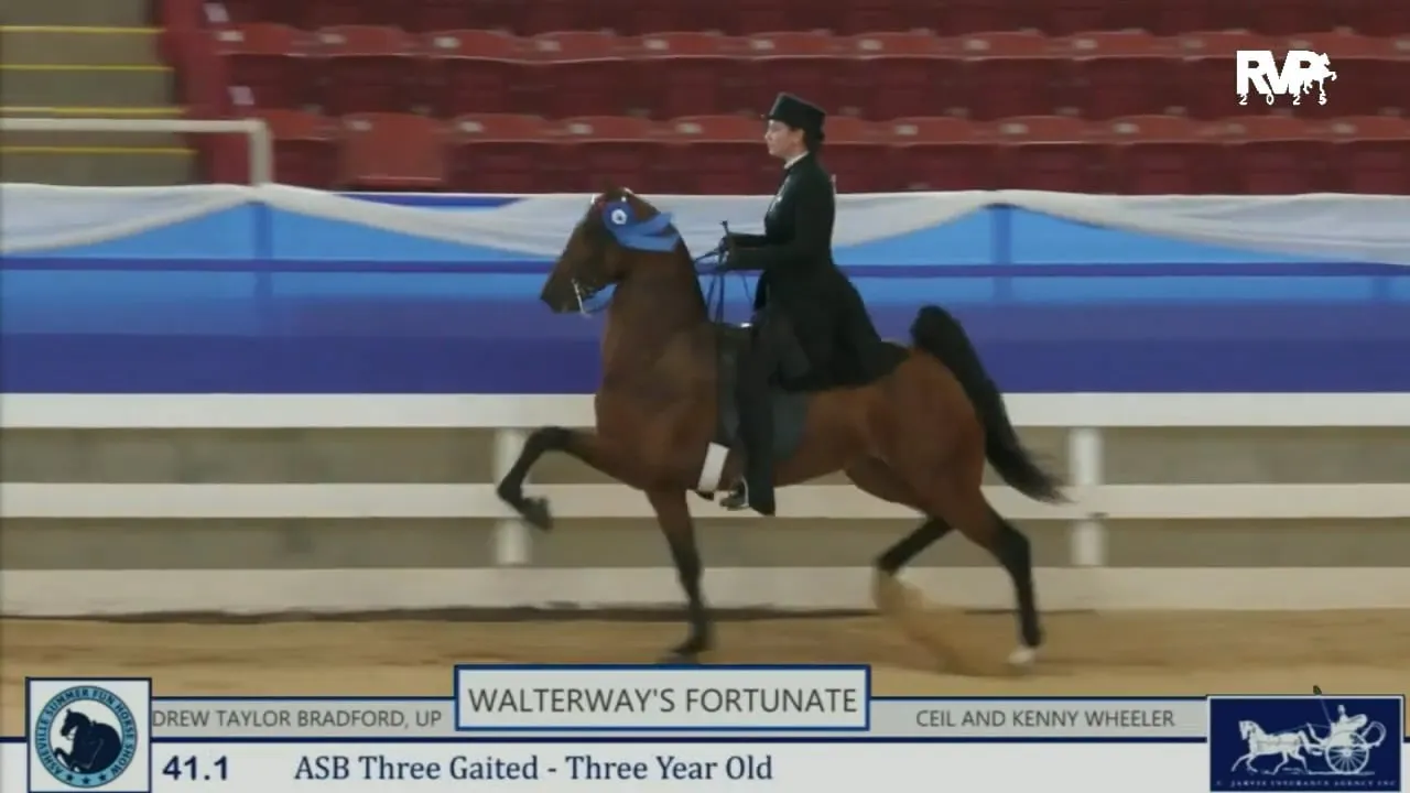 2025 Blue Ridge Classic Horse Show - Friday Morning - Richfield Video ...