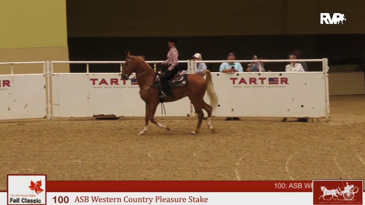 KFC24 - Class 100 - ASB Western Country Pleasure Stake - Richfield Video Archive