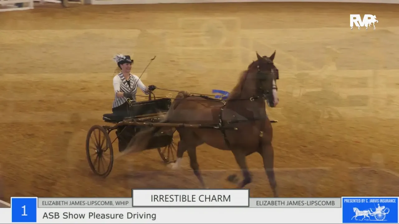 BR23 - Class 1 - Irresistible Charm and Elizabeth James-Lipscomb, whip ...