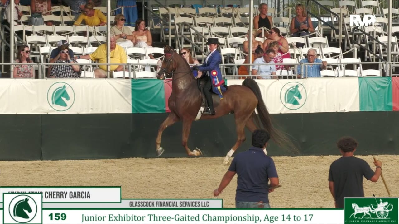 LJL24 - Class 159 - Undulata's Cherry Garcia and Sarah Kirkpatrick, Up ...