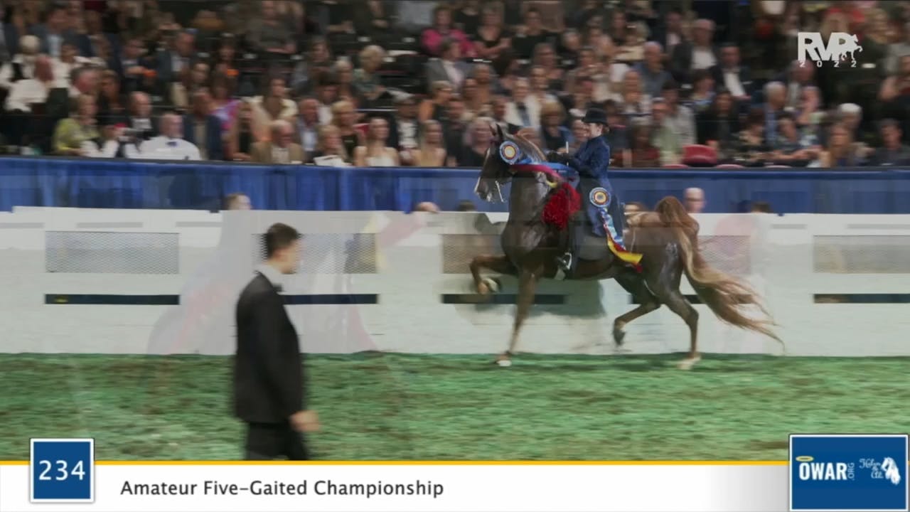 WCHS22 - Class 234 - CH Memories of Cabo and Ali DeGray, Up - Richfield ...