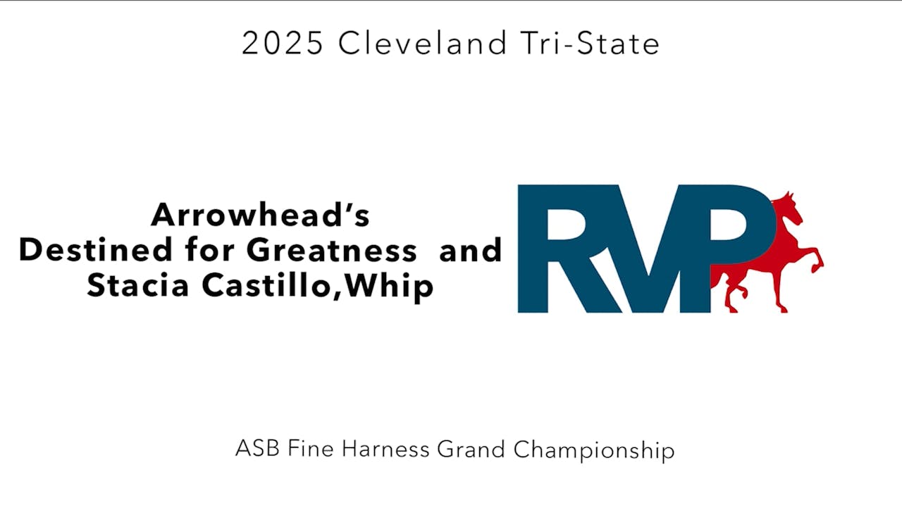 CTS25 - Class 137 - Arrowhead's Destined for Greatness and Stacia ...