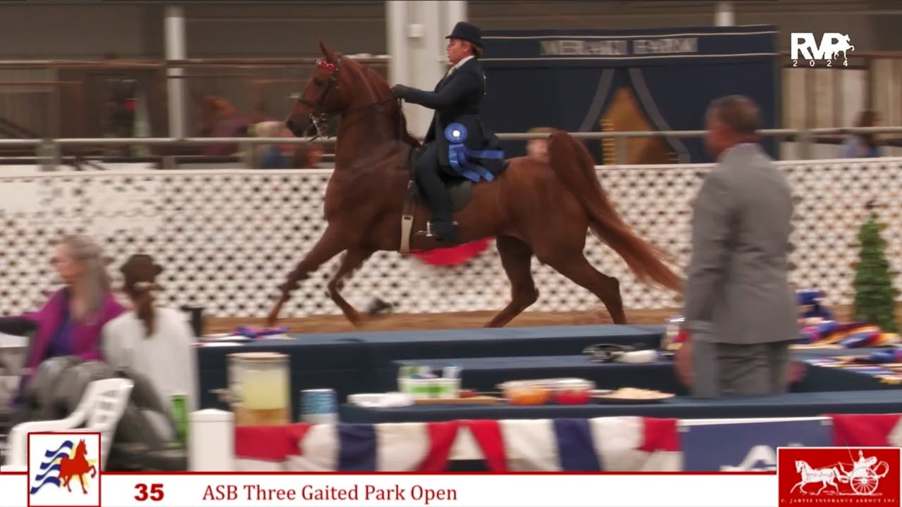 AAC24 - Class 35 - ASB Three Gaited Park Open - Richfield Video Archive