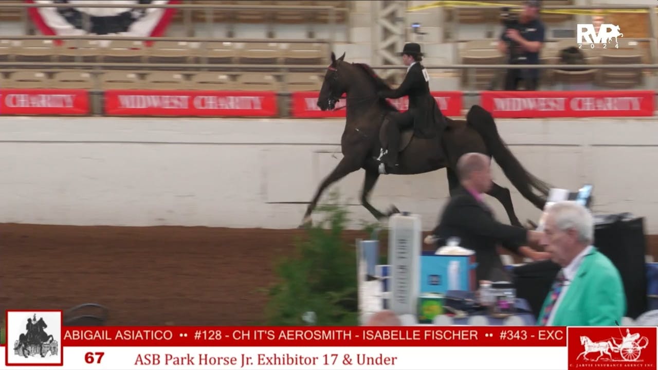 MW24 - Class 67 - ASB Park Horse Jr Exhibitor 17 & Under - Richfield ...