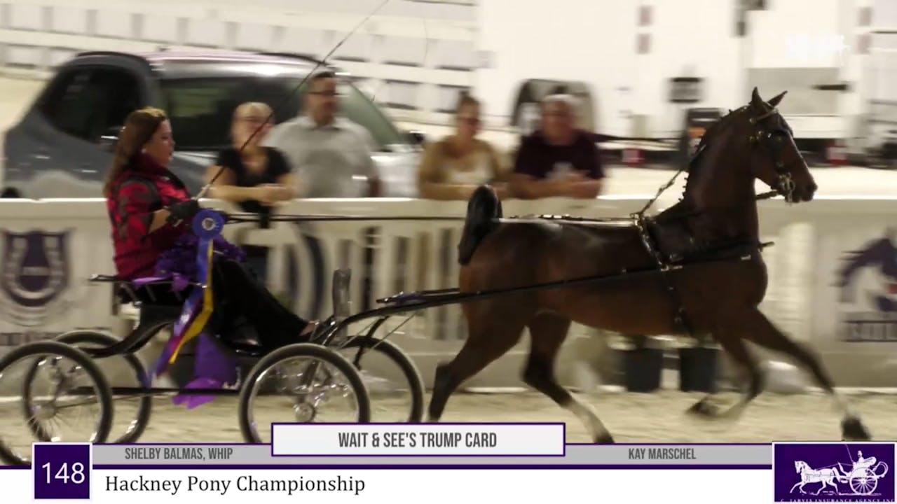 OIHS23 - Class 148 - Wait and See’s Trump Card and Shelby Balmas, whip ...