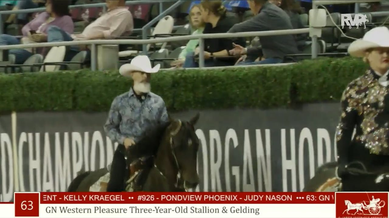 MGN23 - Class 63 - GN Western Pleasure Three Year Old Stallion ...