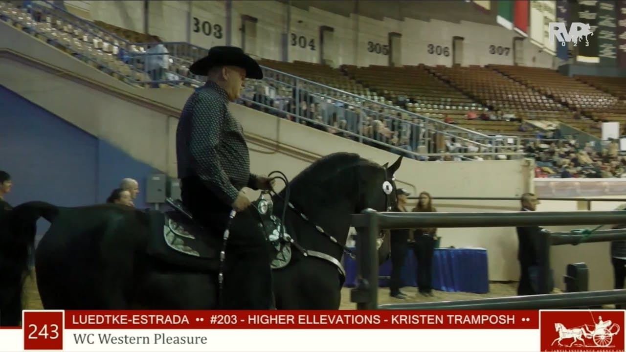 MGN23 - Class 243 - WC Western Pleasure - Richfield Video Archive