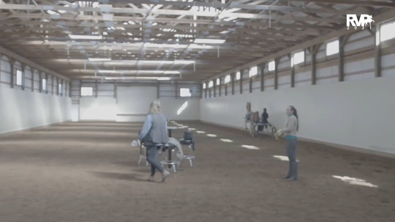 A Visit to Wingswept Farm with Stephanie and Chris Brannan - Richfield Video Archive