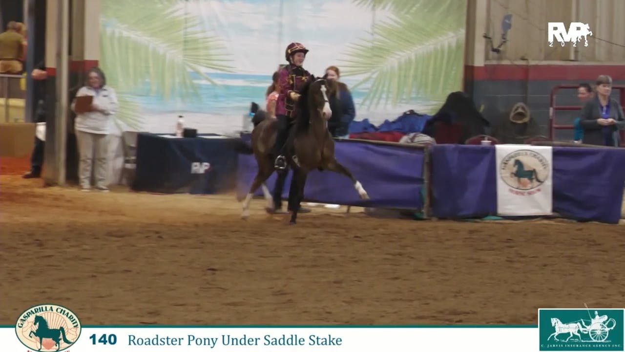 GC25 - Class 140 - Roadster Pony Under Saddle Stake - Richfield Video ...