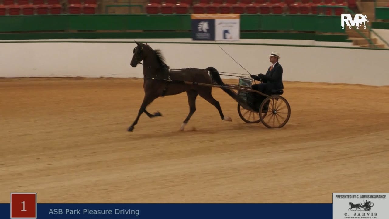 NCSC22 - Class 1 - ASB Park Pleasure Driving - Richfield Video Archive