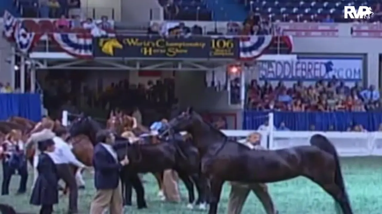 2009 World's Championship Horse Show Class 202 Junior Exhibitor Three ...
