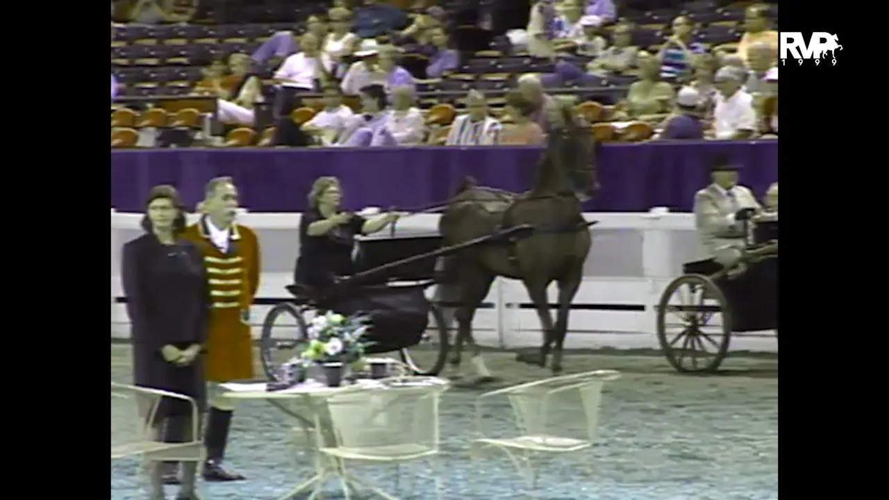 1999 WCHS - Class 212 ASB Country Pleasure Driving Championship - 1999 ...