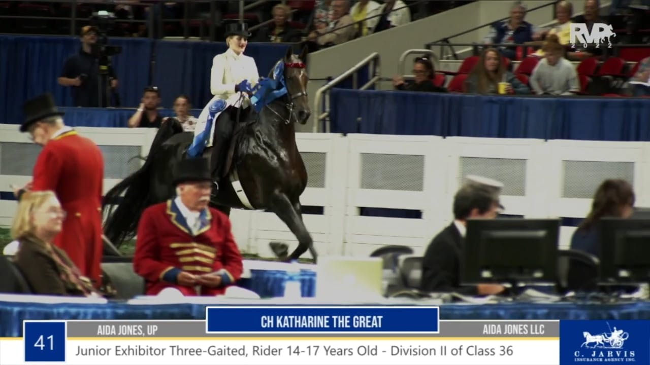 WCHS22 - Class 41 - CH Katherine the Great and Aida Jones, Up ...