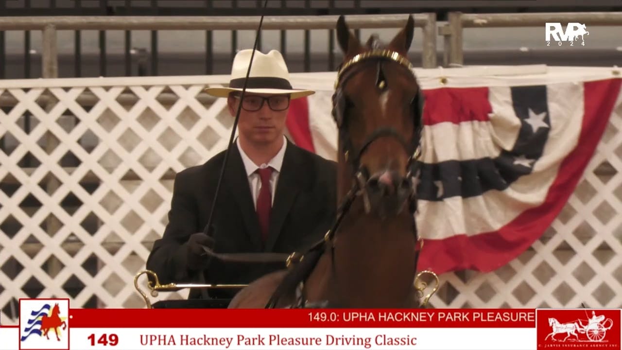 AAC24 - Class 149 - UPHA Hackney Park Pleasure Driving Classic ...