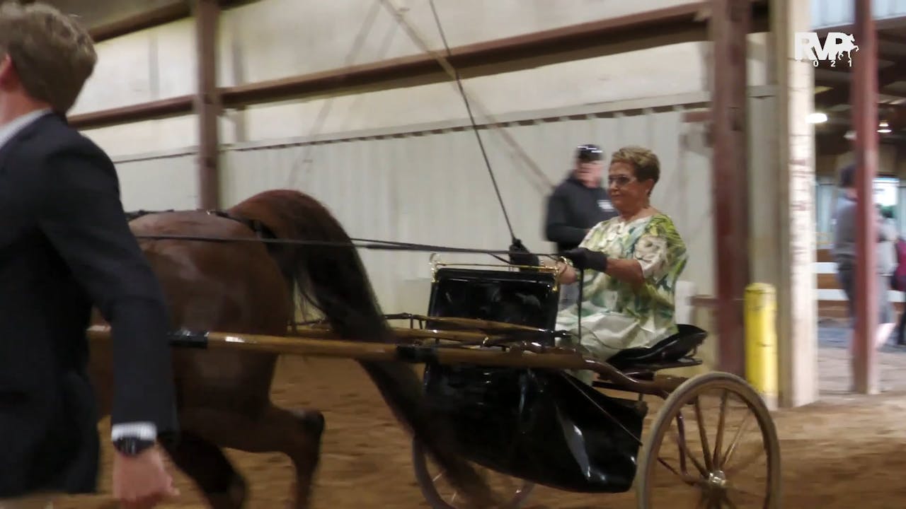 SC21 - Class 31 - ASB Country Pleasure Driving - Richfield Video Archive