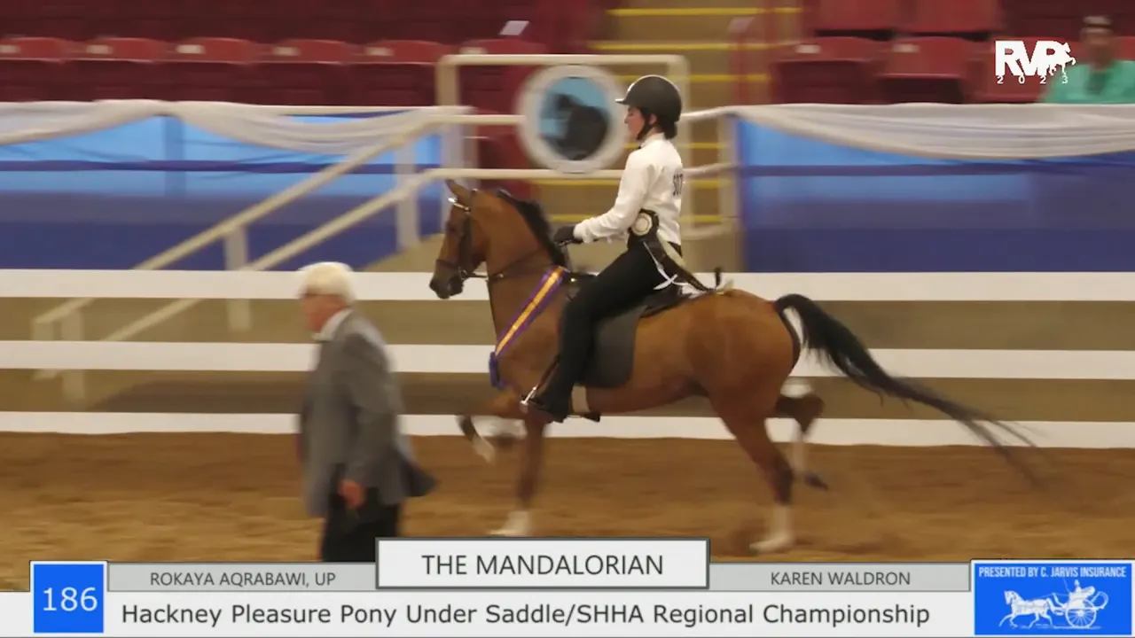 BR23 - Class 186 - The Mandalorian and Rokaya Aqrabawi, up - Richfield ...