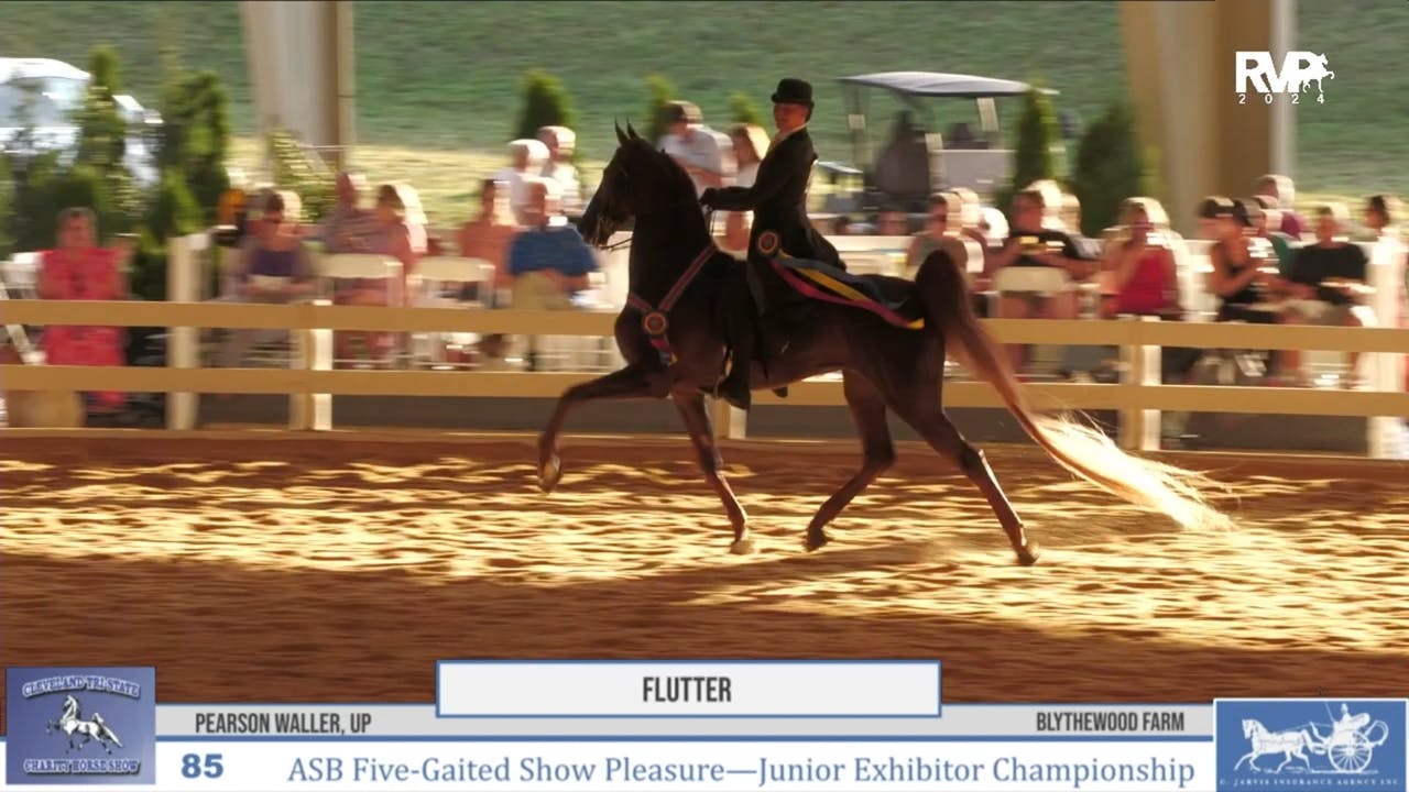 CTSC24 - Class 85 - Flutter and Pearson Waller, up - Richfield Video Archive