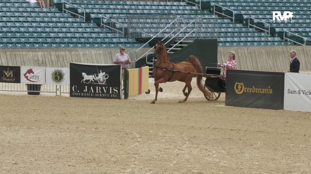 LJL24 - Class 36 - ASB Show Pleasure Driving - Richfield Video Archive