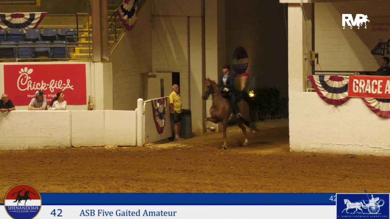 SC24 - Class 42 - ASB Five Gaited Amateur - Richfield Video Archive