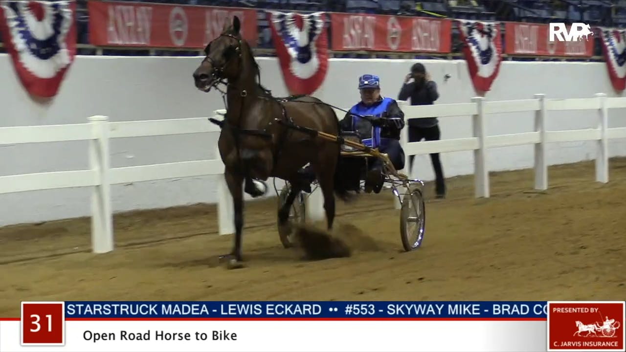 ASHAV 2020 - Class 31 Open Road Horse to Bike - Richfield Video Archive