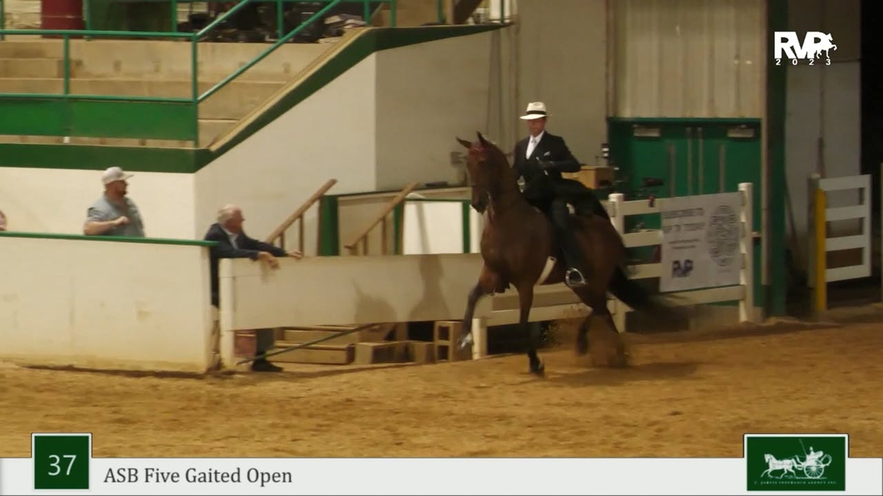 NCSC23 - Class 37 - ASB Five Gaited Open - Richfield Video Archive