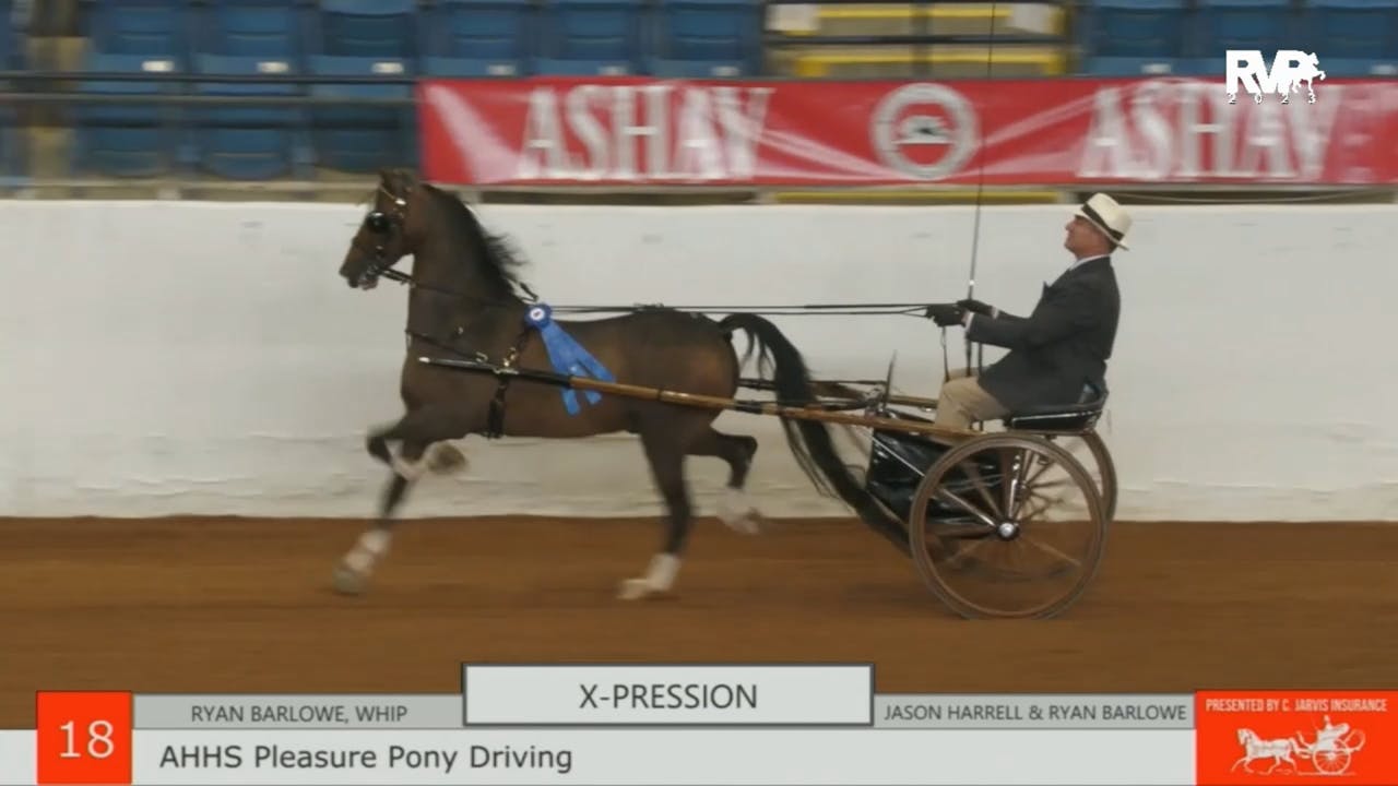 2023 ASHAV - Friday Morning - Richfield Video Archive