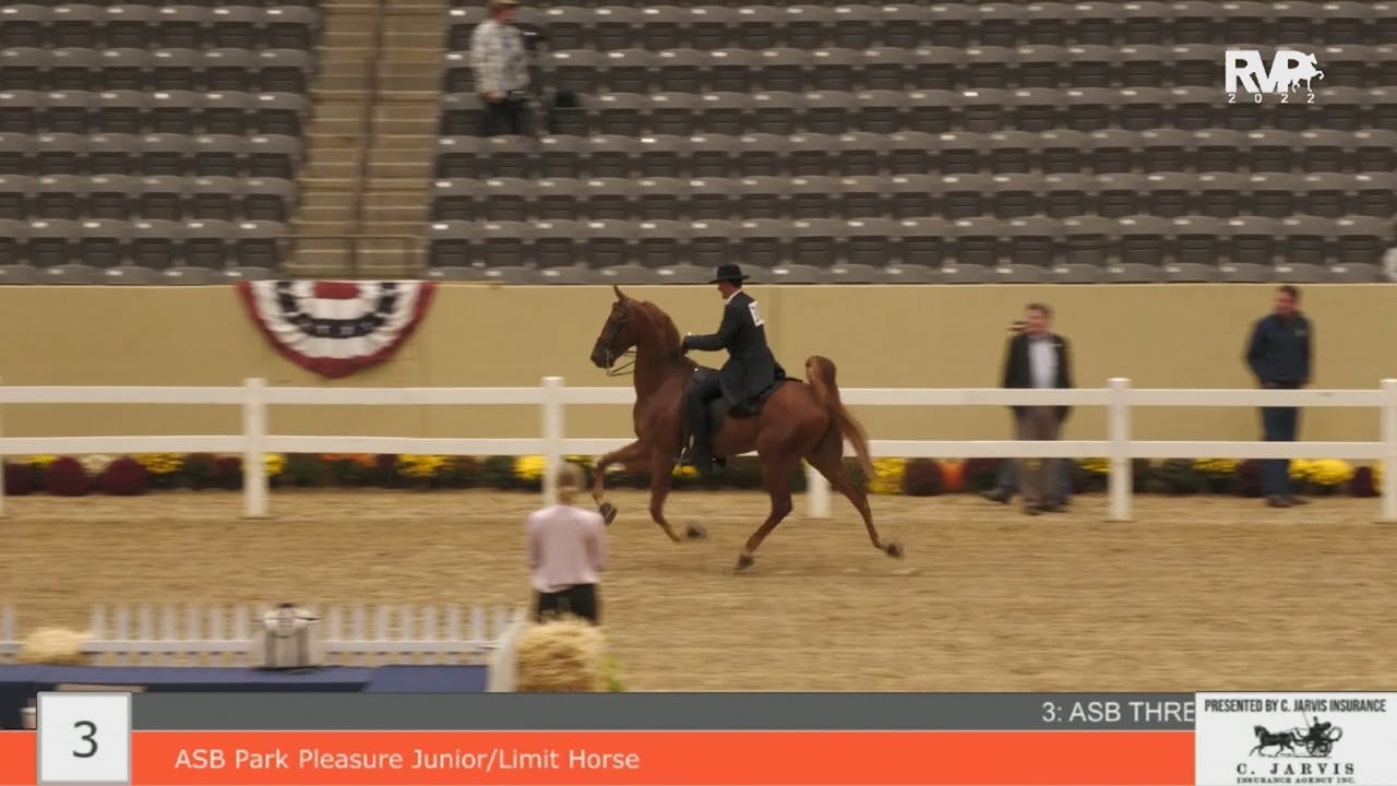 KYFC22 - Class 3 - ASB Park Pleasure Junior Limit Horse - Richfield ...