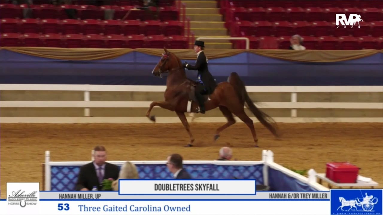 2024 Asheville Saddlebred Classic - Friday Evening - Richfield Video Archive