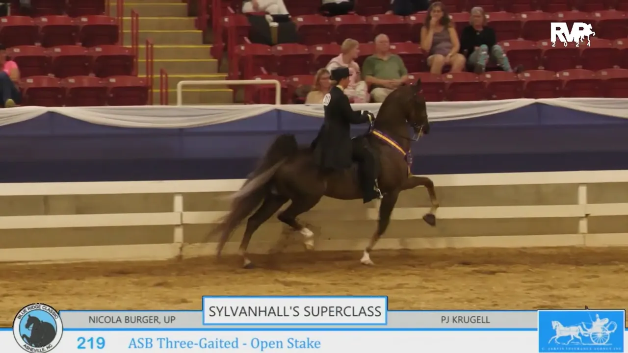 BR24 - Class 219 - ASB Three-Gaited - Open Stake - Richfield Video Archive