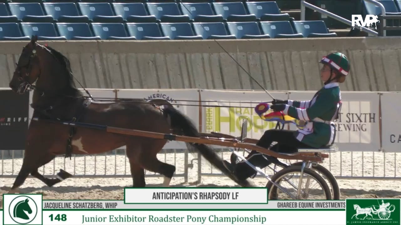 LJL24 - Class 148 - Anticipation's Rhapsody LF and Jacqueline ...