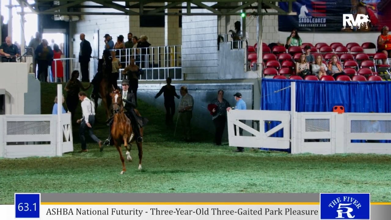 WCHS23 - Class 62 - CH Man on the Move and Isabelle Fischer, Up ...