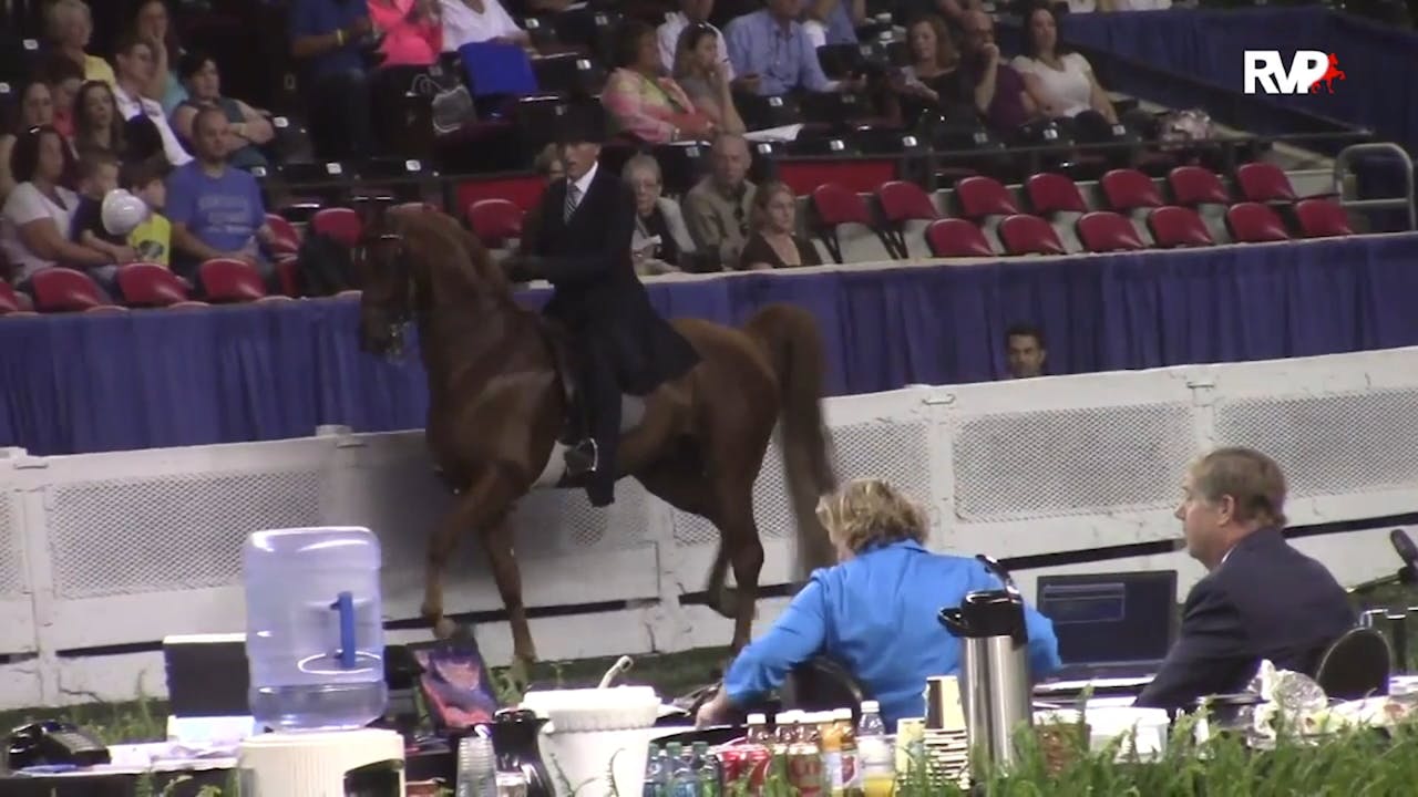 2015 WCHS - Rango Tango and James Stachowski - Richfield Video Archive