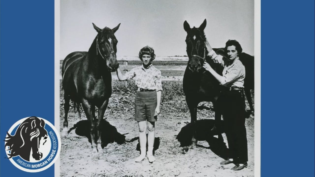 2022 - AMHA Breeder’s Hall of Fame - HyLee Farm - Richfield Video Archive