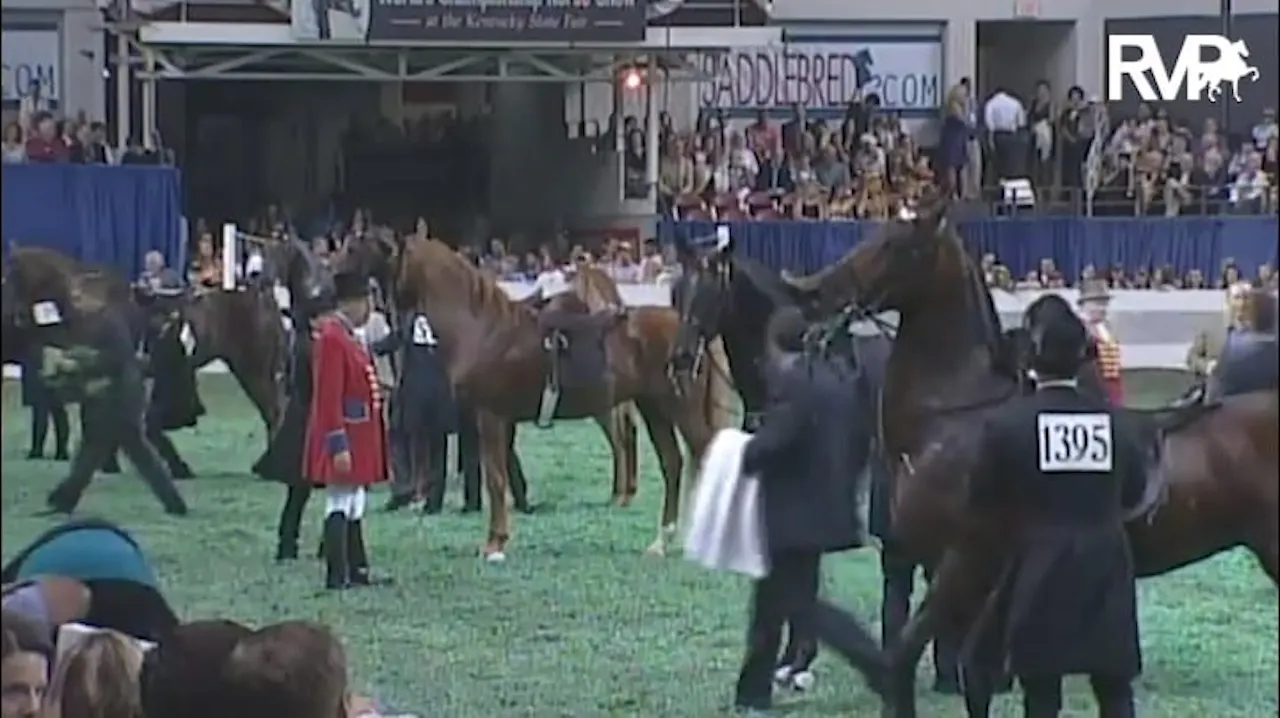 2010 World's Championship Horse Show Class 240 Five Gaited World Grand ...
