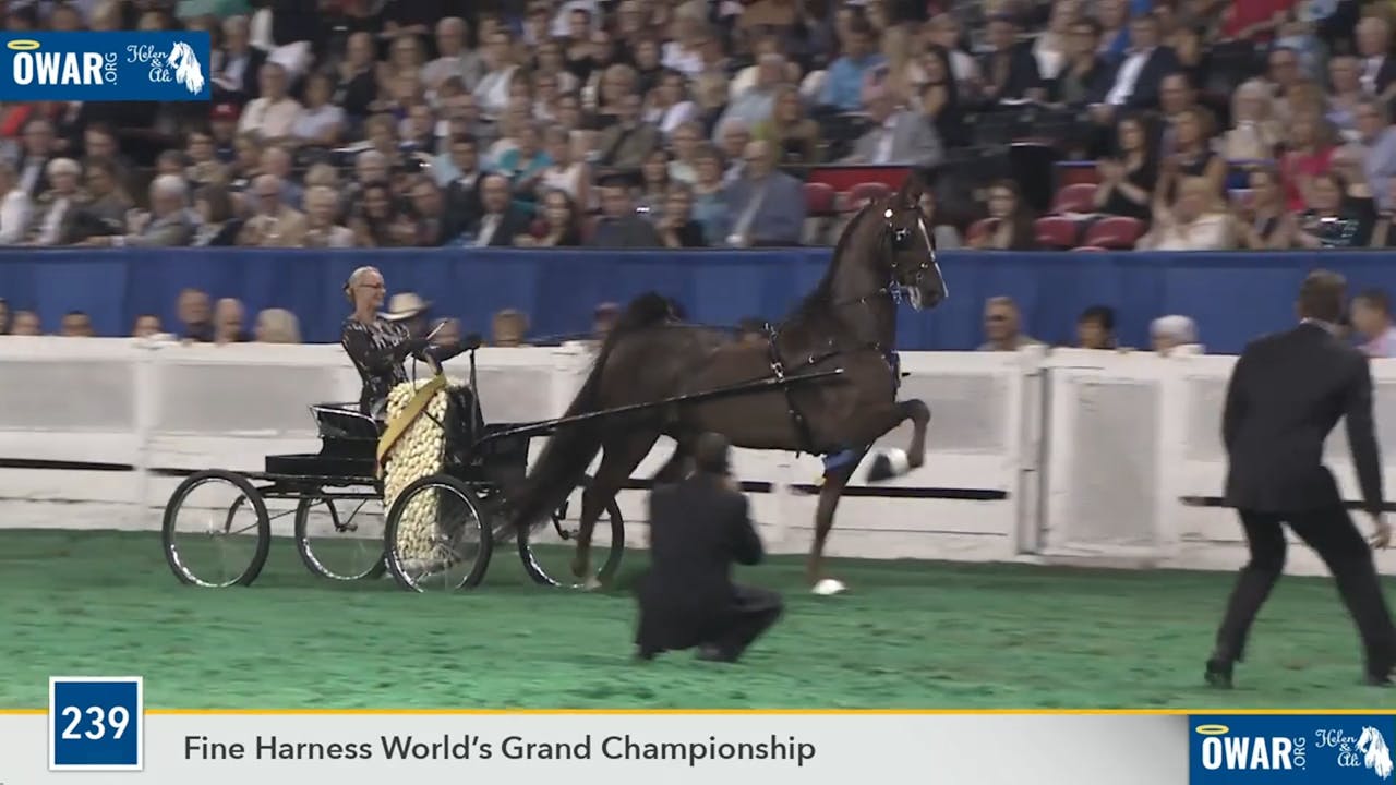 WCHS17 - Class 239 - Here Comes The Boom! - Richfield Video Archive