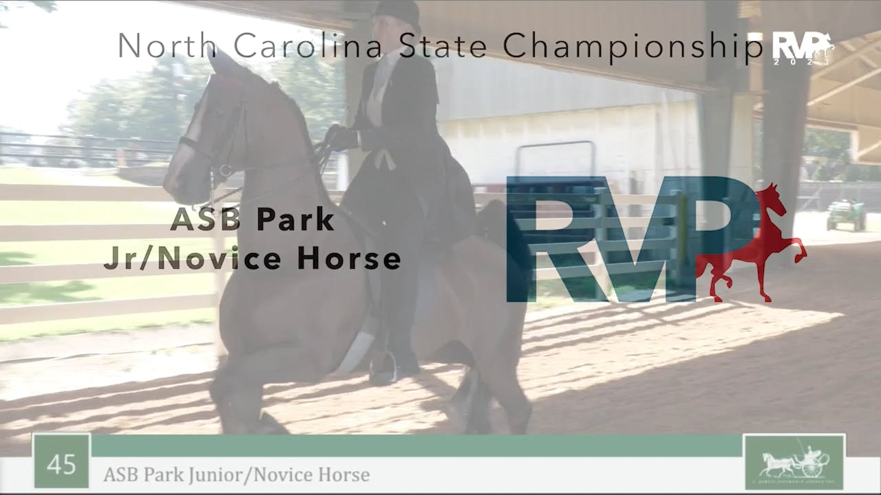 NCSC23 - Class 45 - ASB Park Jr-Novice Horse - Richfield Video Archive