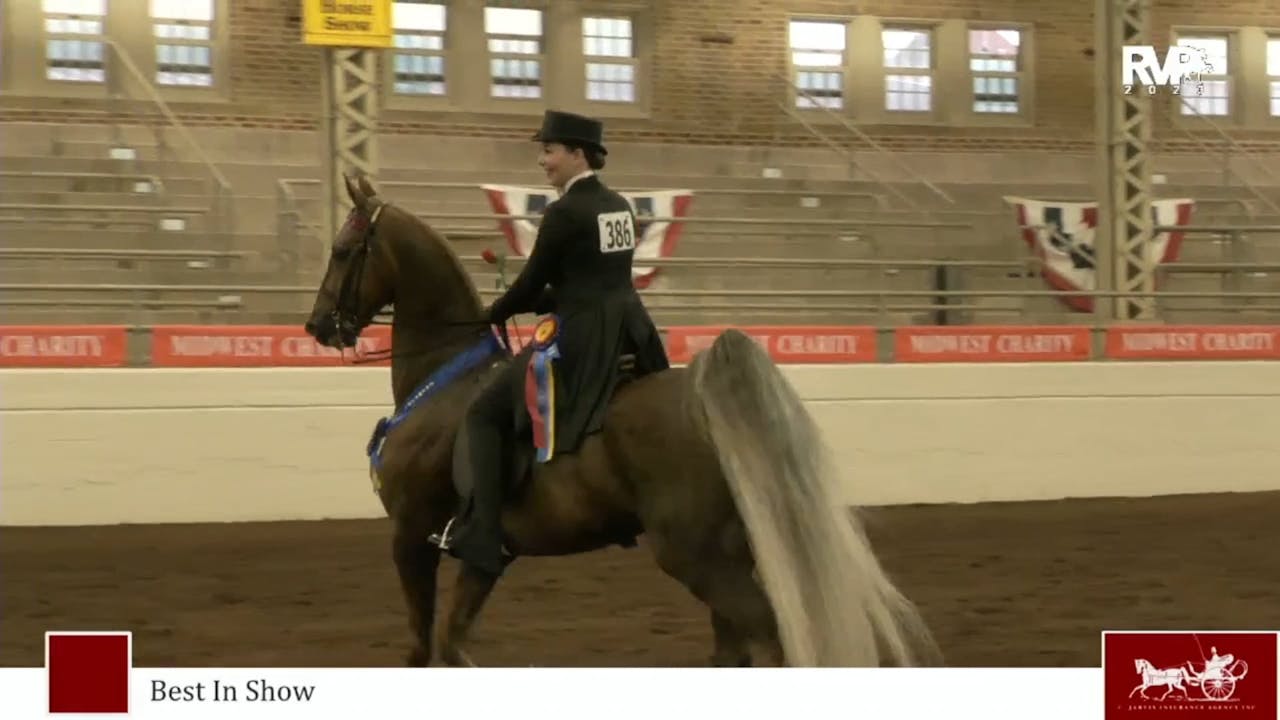 Best in Show - Sylvanhall’s Pistachio and Isabelle Fischer, up ...